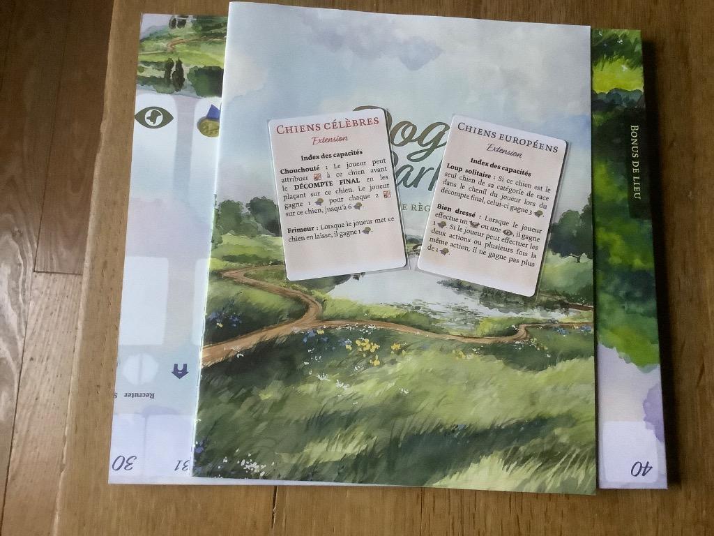 Dog Park - 30€